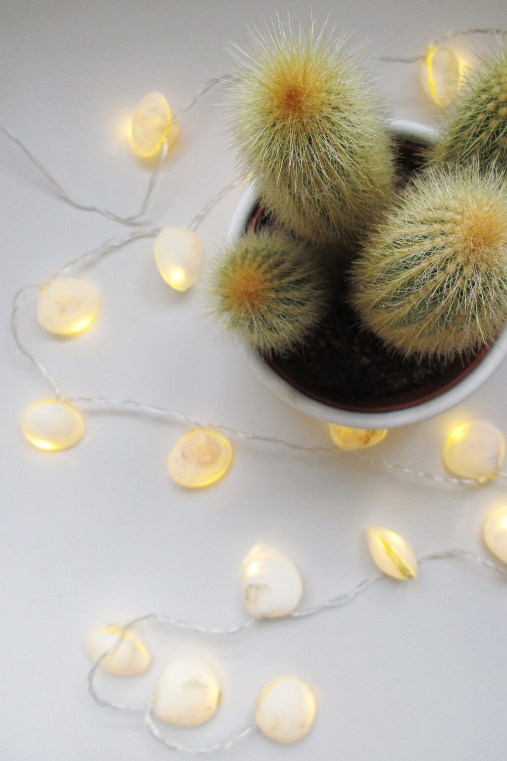 20 Best DIY Seashell Crafts And Ideas To Use Seashells In Summer